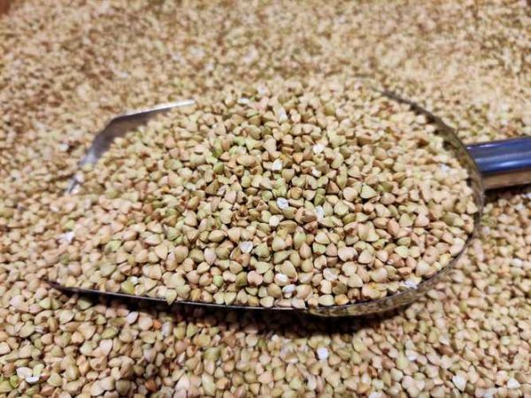 荞麦图片大全大图_荞麦长什么样-第1张图片-山城妙识