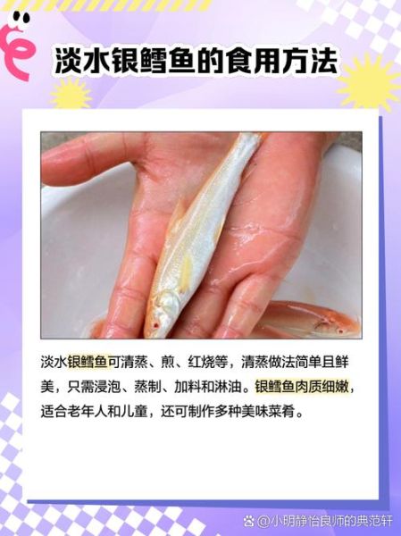 淡水银雪鱼吃什么饵料_淡水银雪鱼饵料配方-第2张图片-山城妙识 淡水银雪鱼吃什么饵料_淡水银雪鱼饵料配方-第2张图片-山城妙识