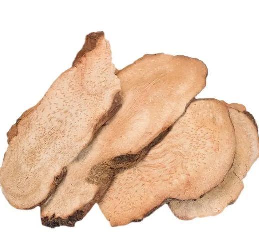 土茯苓长什么样_土茯苓图片如何辨别真假-第3张图片-山城妙识