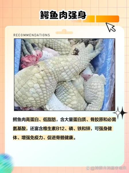 鳄鱼肉能吃吗_鳄鱼肉违法吗-第3张图片-山城妙识 鳄鱼肉能吃吗_鳄鱼肉违法吗-第3张图片-山城妙识