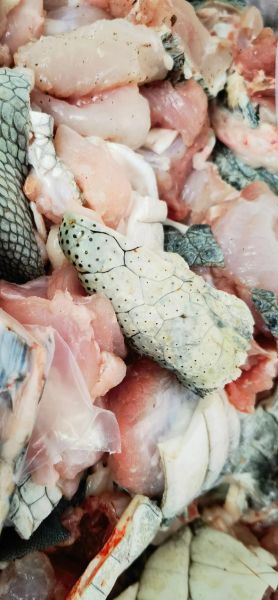 鳄鱼肉能吃吗_鳄鱼肉违法吗-第2张图片-山城妙识 鳄鱼肉能吃吗_鳄鱼肉违法吗-第2张图片-山城妙识