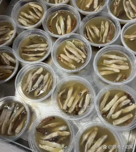 土笋冻沙虫是什么_土笋冻沙虫怎么做-第1张图片-山城妙识