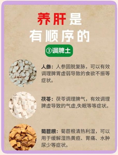 解酒护肝茶有用吗_怎么喝才有效-第3张图片-山城妙识