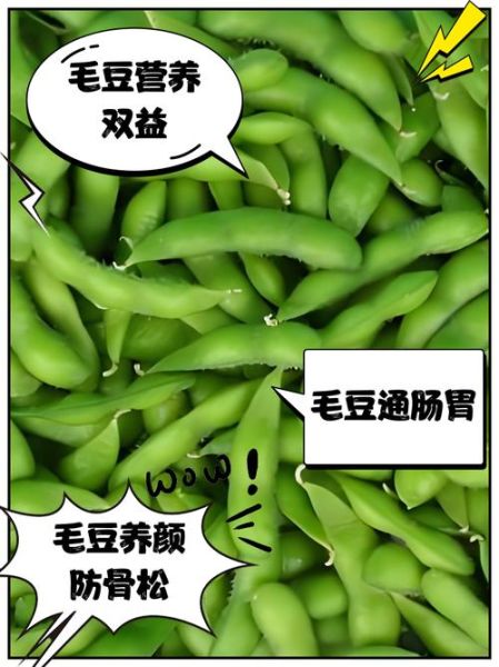 女性吃毛豆有什么好处_毛豆对女性的营养价值-第3张图片-山城妙识