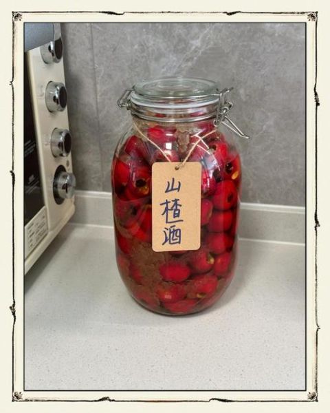 自制山楂酒怎么做_山楂酒发酵多久能喝-第1张图片-山城妙识 自制山楂酒怎么做_山楂酒发酵多久能喝-第1张图片-山城妙识
