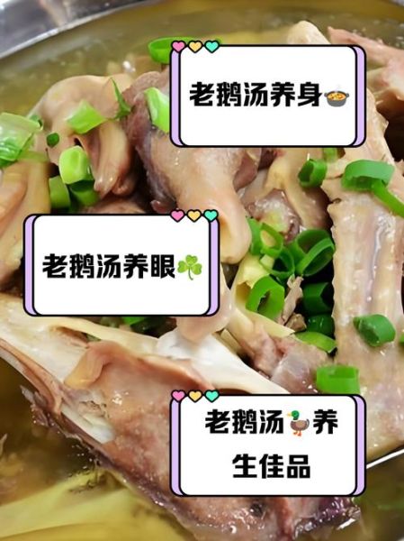 老鹅汤怎么做最正宗_老鹅汤最正宗的做法-第1张图片-山城妙识