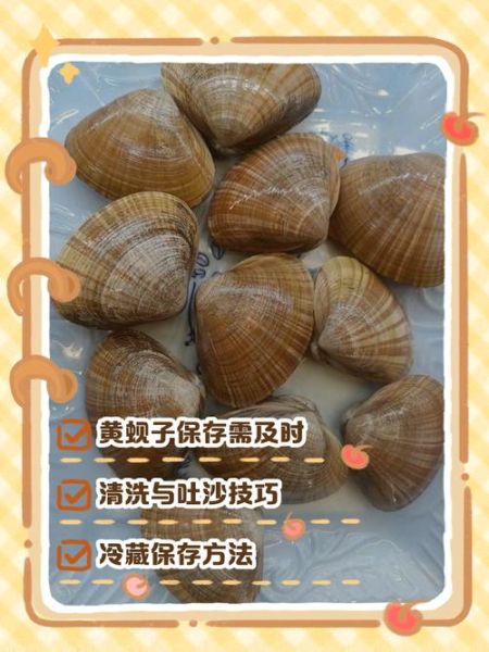 黄蚬子怎么清洗_黄蚬子怎么吐沙干净-第1张图片-山城妙识 黄蚬子怎么清洗_黄蚬子怎么吐沙干净-第1张图片-山城妙识