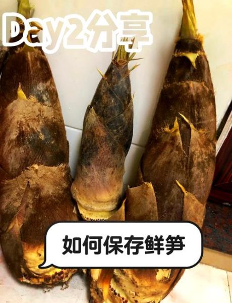 笋子怎么保存新鲜_新鲜笋子能放几天-第1张图片-山城妙识