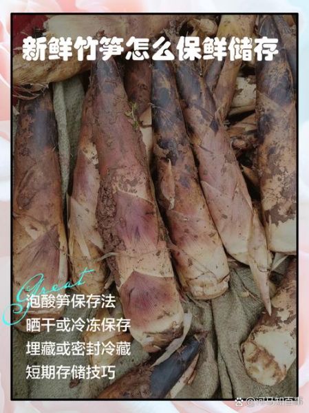 笋子怎么保存新鲜_新鲜笋子能放几天-第3张图片-山城妙识
