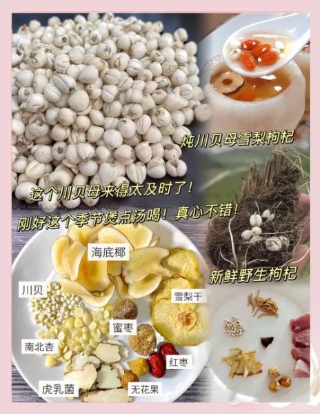 川贝母怎么吃_川贝母的正确吃法-第1张图片-山城妙识