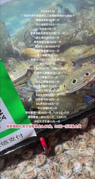 海蟹价格多少钱一斤_今日海蟹最新行情-第1张图片-山城妙识 海蟹价格多少钱一斤_今日海蟹最新行情-第1张图片-山城妙识