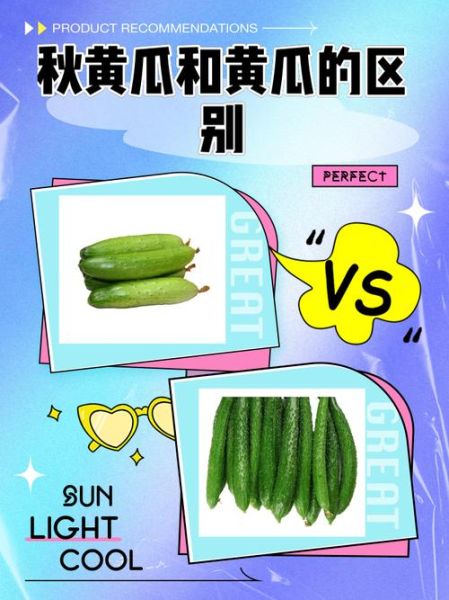 秋黄瓜和普通黄瓜的区别_哪个更好吃-第1张图片-山城妙识