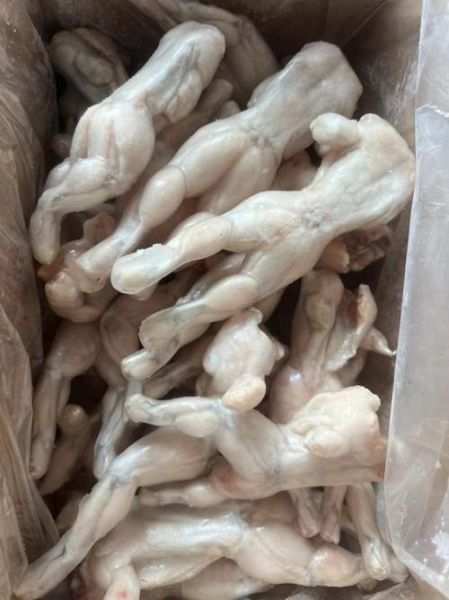 牛蛙多少钱一斤_牛蛙批发价格行情-第1张图片-山城妙识