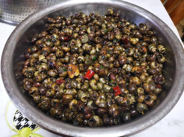 田螺吃什么食物长大_田螺最爱吃什么-第2张图片-山城妙识