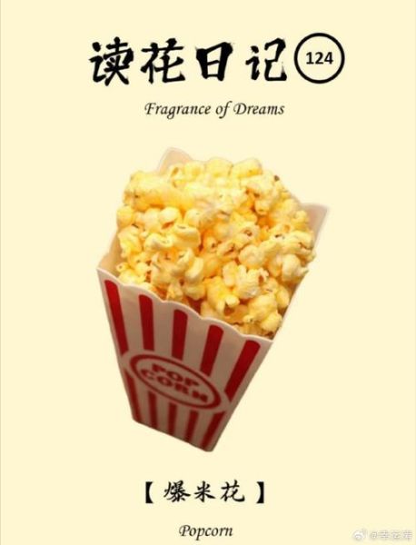 爆米花英语怎么说_爆米花英语发音怎么读-第3张图片-山城妙识
