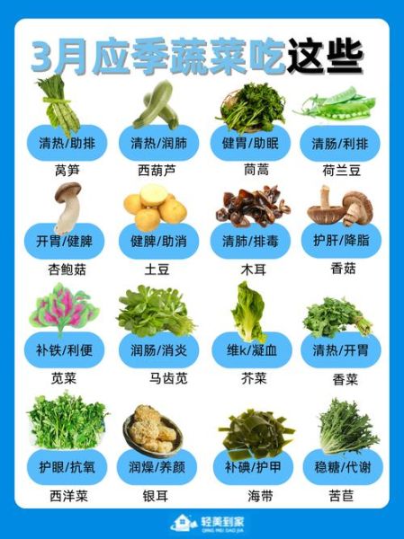 vegetable_names_list_complete_guide-第3张图片-山城妙识