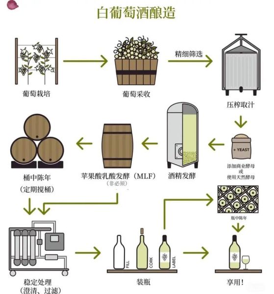 葡萄酒怎么酿造_葡萄酒生产工艺流程详解-第1张图片-山城妙识 葡萄酒怎么酿造_葡萄酒生产工艺流程详解-第1张图片-山城妙识