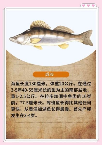 鲈鱼是海鱼还是淡水鱼_鲈鱼生活在哪种水域-第1张图片-山城妙识