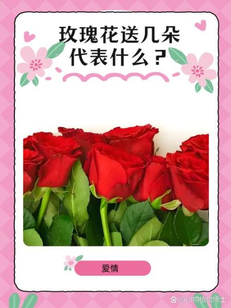 1到100朵玫瑰花代表什么意思_送花数量含义全解-第2张图片-山城妙识