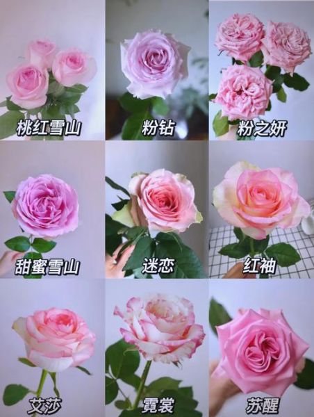 1到100朵玫瑰花代表什么意思_送花数量含义全解-第3张图片-山城妙识