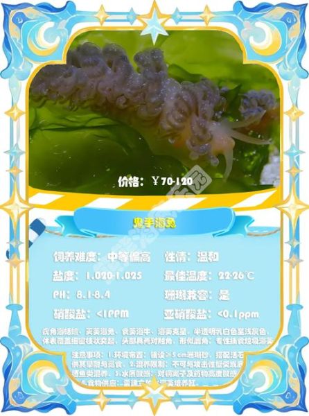 海兔种类有哪些_海兔有毒吗-第3张图片-山城妙识