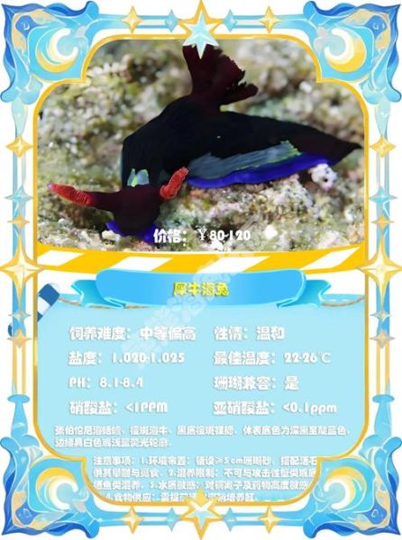 海兔种类有哪些_海兔有毒吗-第2张图片-山城妙识