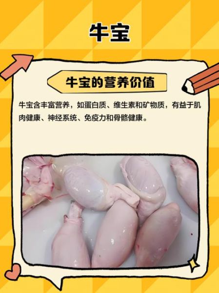 牛宝是什么部位_牛宝是哪个部位图片-第1张图片-山城妙识