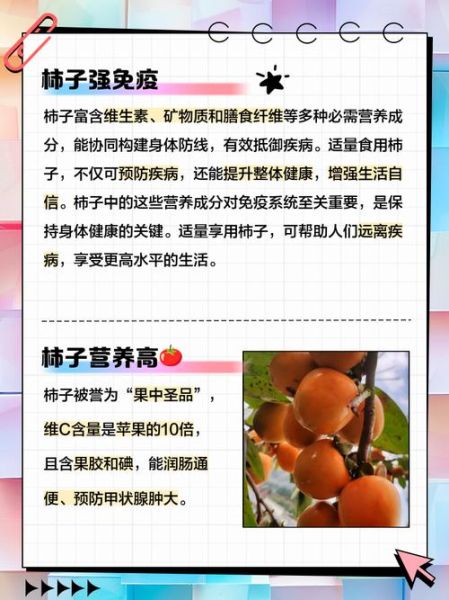 吃柿子有什么好处_吃柿子会上火吗-第3张图片-山城妙识