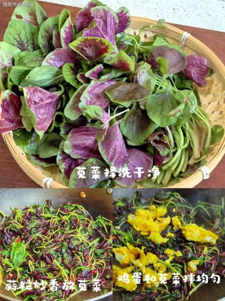 米苋菜的功效与作用_米苋菜怎么做好吃-第3张图片-山城妙识