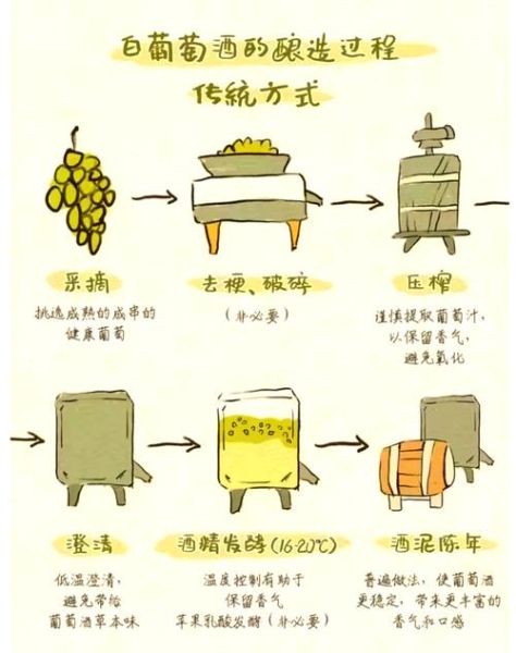 自家如何酿造葡萄酒_自酿葡萄酒详细步骤-第1张图片-山城妙识