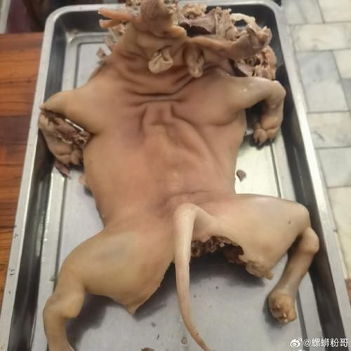 中国十大狗肉之乡有哪些_为什么玉林狗肉节争议最大-第2张图片-山城妙识