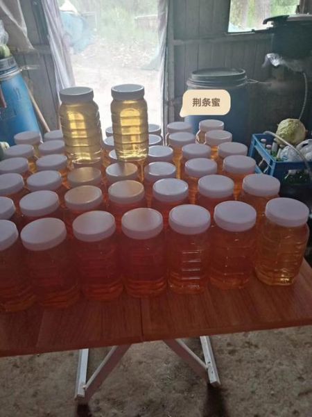 荆条蜜和槐花蜜哪个好_荆条蜜与槐花蜜区别-第3张图片-山城妙识