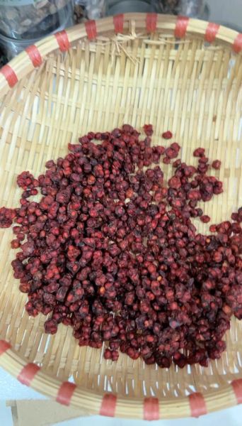 北五味子图片_如何辨别真假-第2张图片-山城妙识