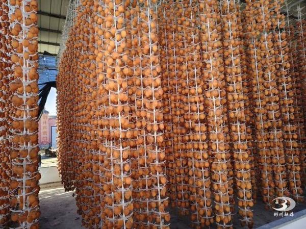 家常柿饼怎么做_柿饼晾晒多久才甜-第1张图片-山城妙识