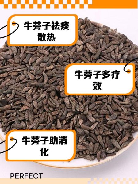 炒牛蒡子的功效与作用及禁忌_哪些人不能吃-第2张图片-山城妙识 炒牛蒡子的功效与作用及禁忌_哪些人不能吃-第2张图片-山城妙识