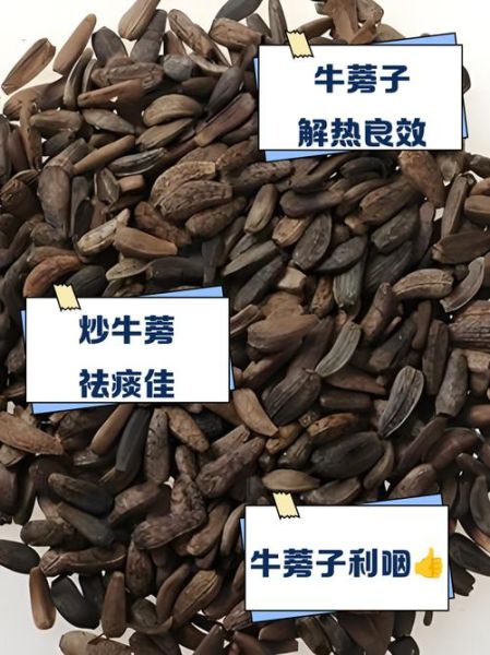 炒牛蒡子的功效与作用及禁忌_哪些人不能吃-第1张图片-山城妙识 炒牛蒡子的功效与作用及禁忌_哪些人不能吃-第1张图片-山城妙识