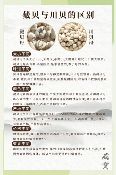 3克川贝大概几粒_川贝一次用量多少粒-第3张图片-山城妙识 3克川贝大概几粒_川贝一次用量多少粒-第3张图片-山城妙识