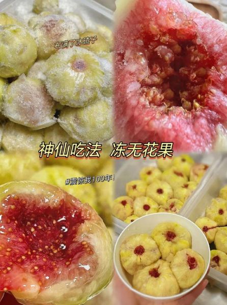 冷冻无花果怎么吃_冷冻无花果的做法大全-第3张图片-山城妙识