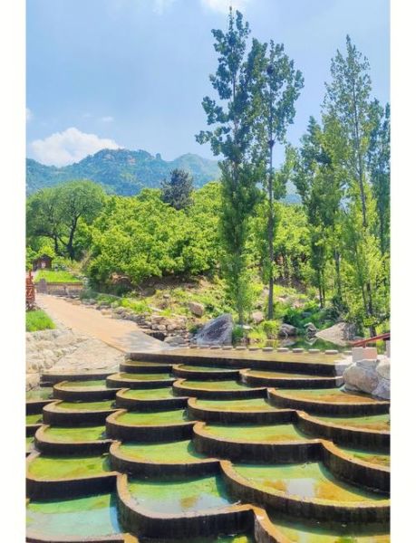 椿树沟在哪里_椿树沟有什么好玩的-第1张图片-山城妙识