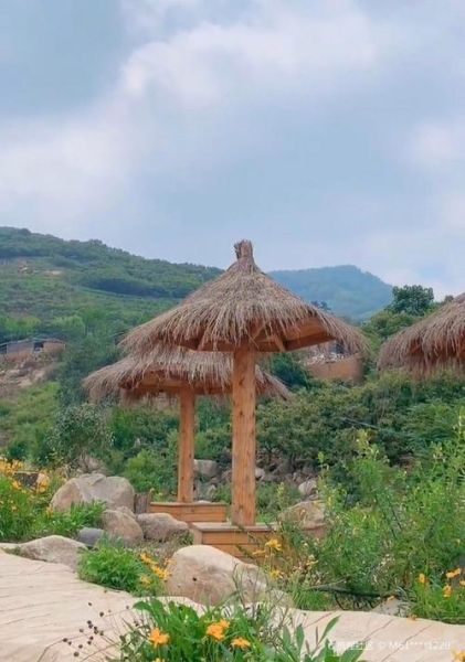 椿树沟在哪里_椿树沟有什么好玩的-第3张图片-山城妙识