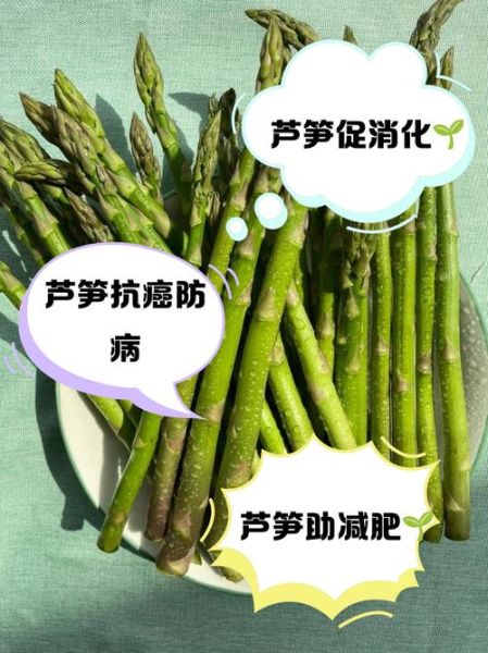 芦笋和竹笋的区别_哪个更营养-第3张图片-山城妙识 芦笋和竹笋的区别_哪个更营养-第3张图片-山城妙识