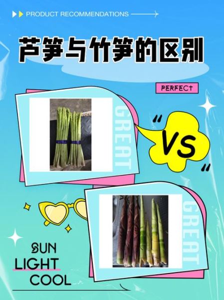 芦笋和竹笋的区别_哪个更营养-第1张图片-山城妙识 芦笋和竹笋的区别_哪个更营养-第1张图片-山城妙识