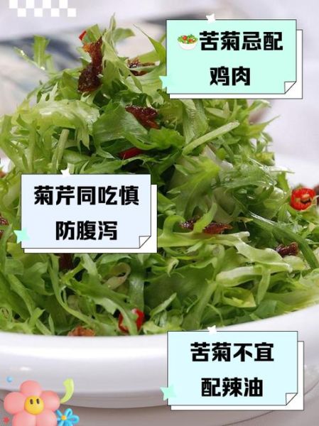 苦菊的功效与作用_苦菊的禁忌人群有哪些-第3张图片-山城妙识