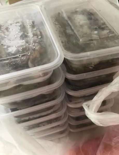 知了猴怎么养殖_知了猴养殖技术-第3张图片-山城妙识