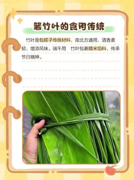 箬竹怎么读_箬竹叶的用途-第3张图片-山城妙识 箬竹怎么读_箬竹叶的用途-第3张图片-山城妙识