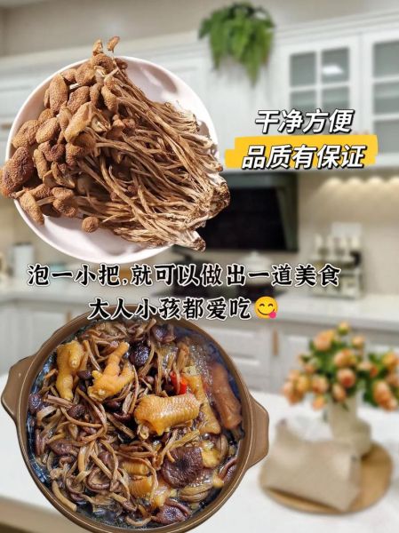 茶树菇价格多少钱一斤_茶树菇为什么这么贵-第2张图片-山城妙识