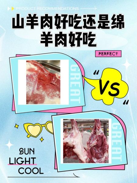 山羊肉贵还是绵羊肉贵_为什么山羊肉价格更高-第2张图片-山城妙识