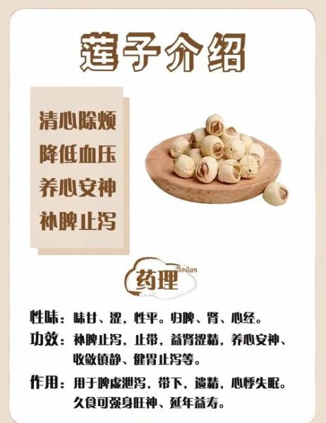 男人为什么不能吃莲子_莲子对男性的危害-第1张图片-山城妙识