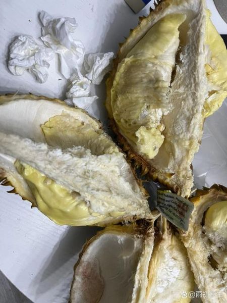 变质的榴莲图片_还能吃吗-第2张图片-山城妙识 变质的榴莲图片_还能吃吗-第2张图片-山城妙识