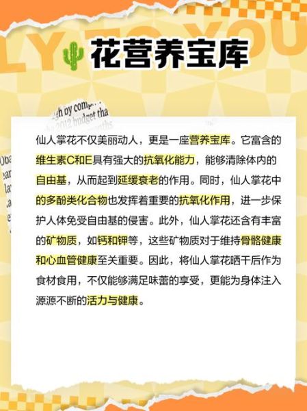 仙人掌花的作用与功效_仙人掌花怎么吃效果最好-第3张图片-山城妙识 仙人掌花的作用与功效_仙人掌花怎么吃效果最好-第3张图片-山城妙识